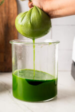 Green Juice Recipe | Jen's Morning Ritual in a Blender