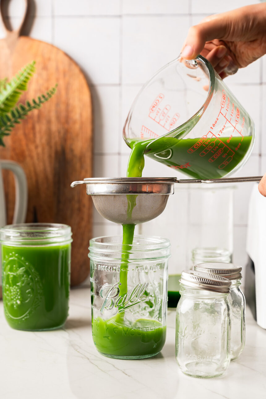 Green Juice Recipe | Jen's Morning Ritual in a Blender