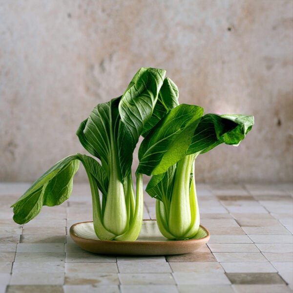Top 10 Leafy Green Vegetables | Plus Recipes to Enjoy