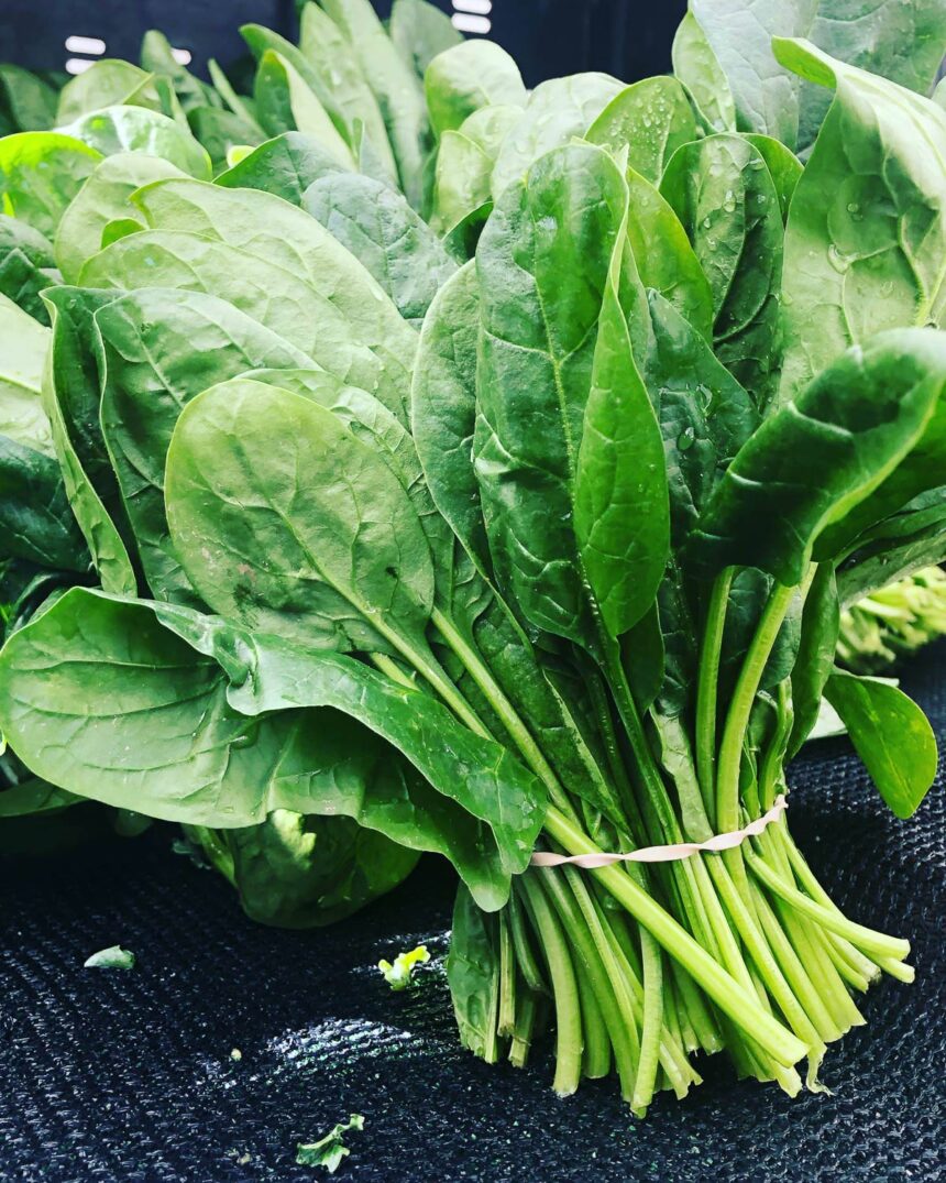 Dirty Dozen List | My Produce Buying Guide