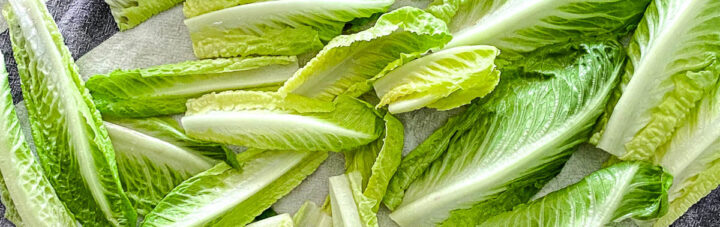 The Leafy Greens Guide - Simple Green Smoothies