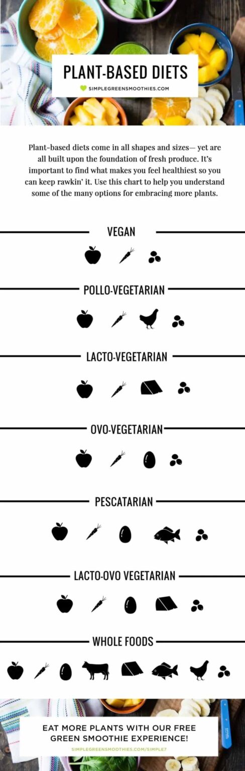 Beginner's Guide to a Plant Based Diet - Whole Food to Fuel Your Passion